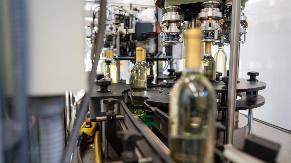 Introducing Hilgard631! | Viticulture and Enology